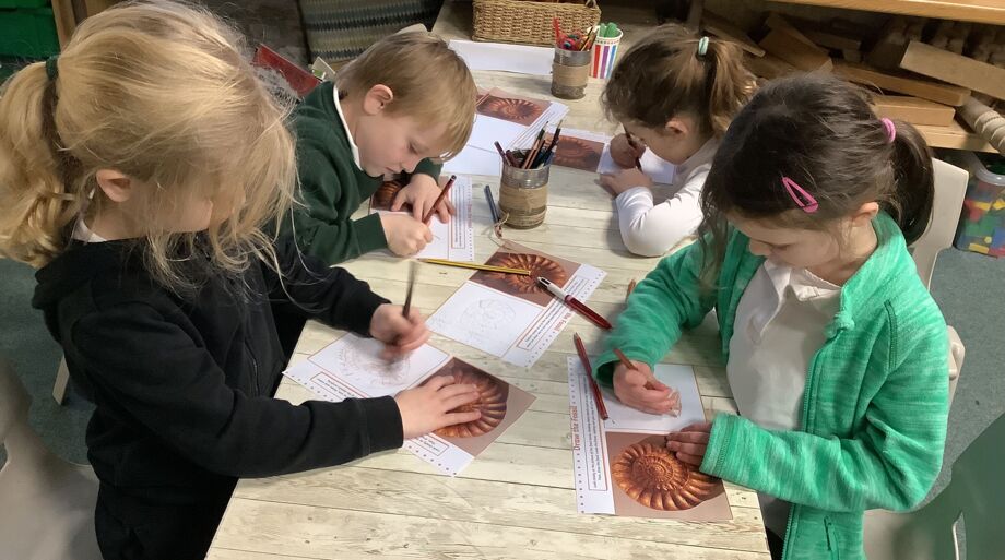 Acorn Class - Meavy Church of England Primary School