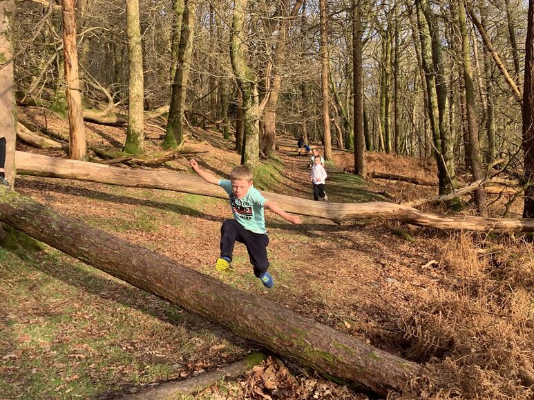 Sports Teams - Meavy Church of England Primary School