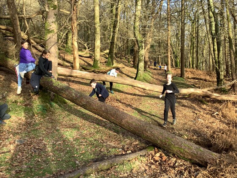 Sports Teams - Meavy Church of England Primary School