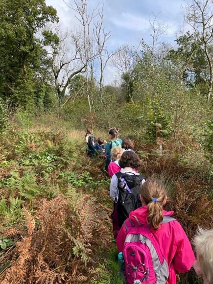 Curriculum Overview - Meavy Church of England Primary School