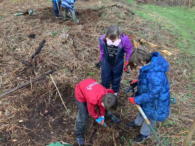 Our School Vision - Meavy Church of England Primary School