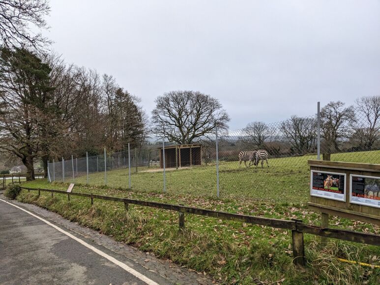 Beech Class - Meavy Church of England Primary School