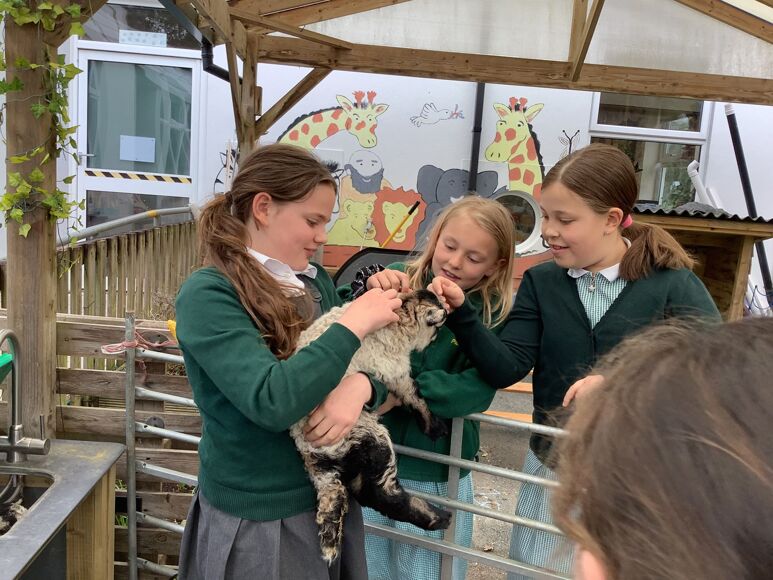 Our School Vision - Meavy Church of England Primary School