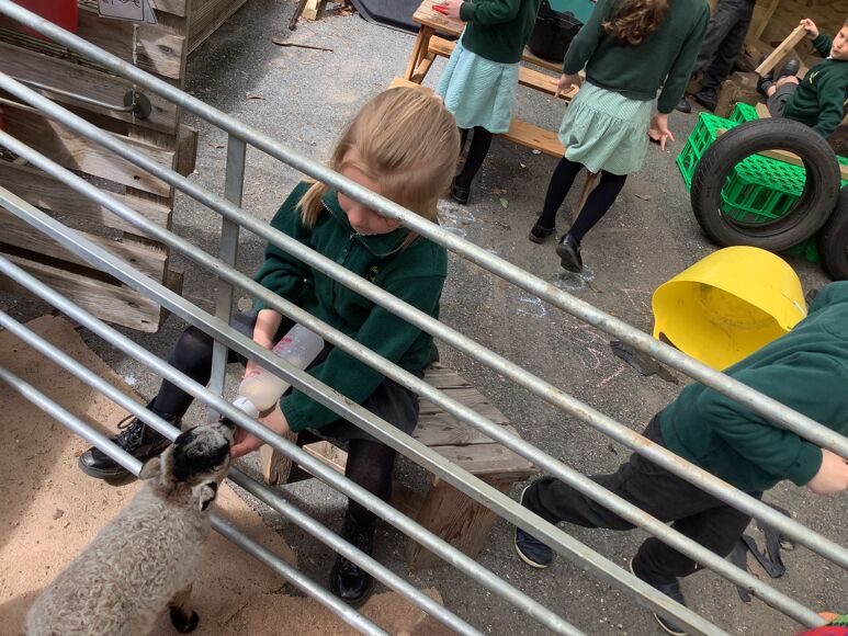 Our School Vision - Meavy Church of England Primary School