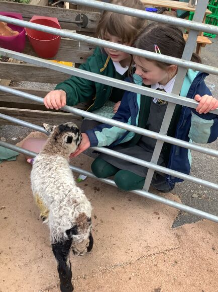 Our School Vision - Meavy Church of England Primary School