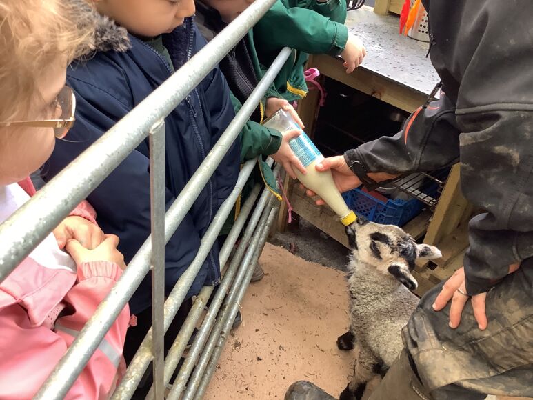 Our School Vision - Meavy Church of England Primary School