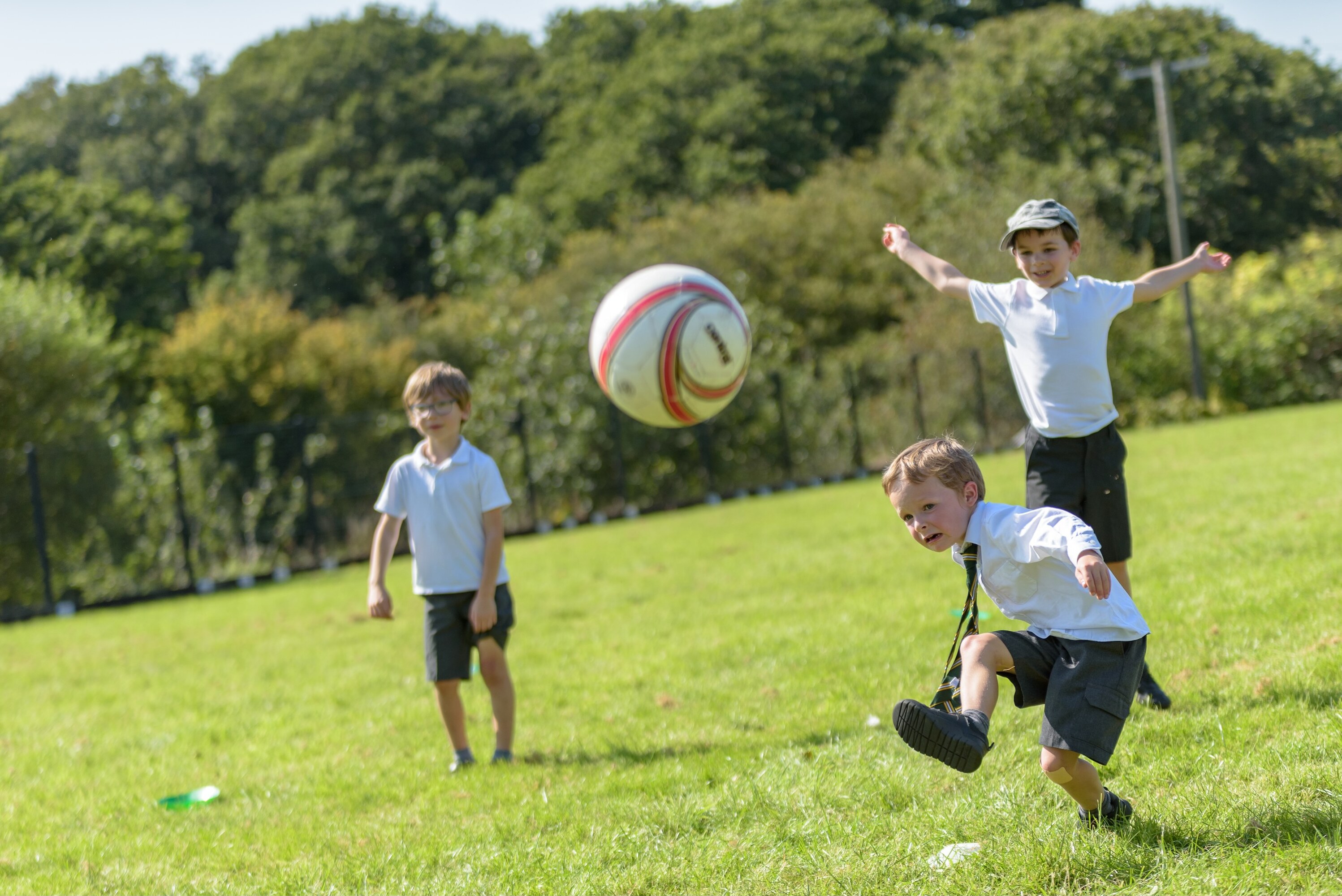 Acorn Class - Meavy Church of England Primary School